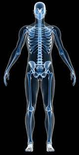 X-Ray AI - AI Imaging & Structural Visualization | Reveal the Unseen