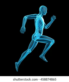 X-Ray AI - AI Imaging & Structural Visualization | Reveal the Unseen