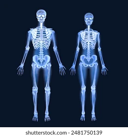 X-Ray AI - AI Imaging & Structural Visualization | Reveal the Unseen
